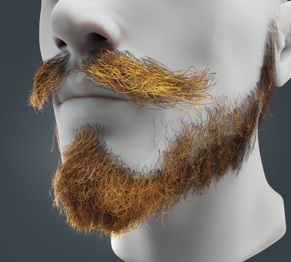 Beard RealTime 7 Version 2 3D Model - TurboSquid 1892346