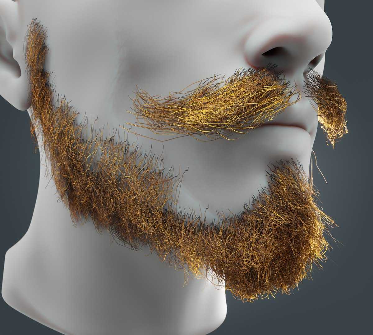 Beard RealTime 7 Version 2 3D Model - TurboSquid 1892346