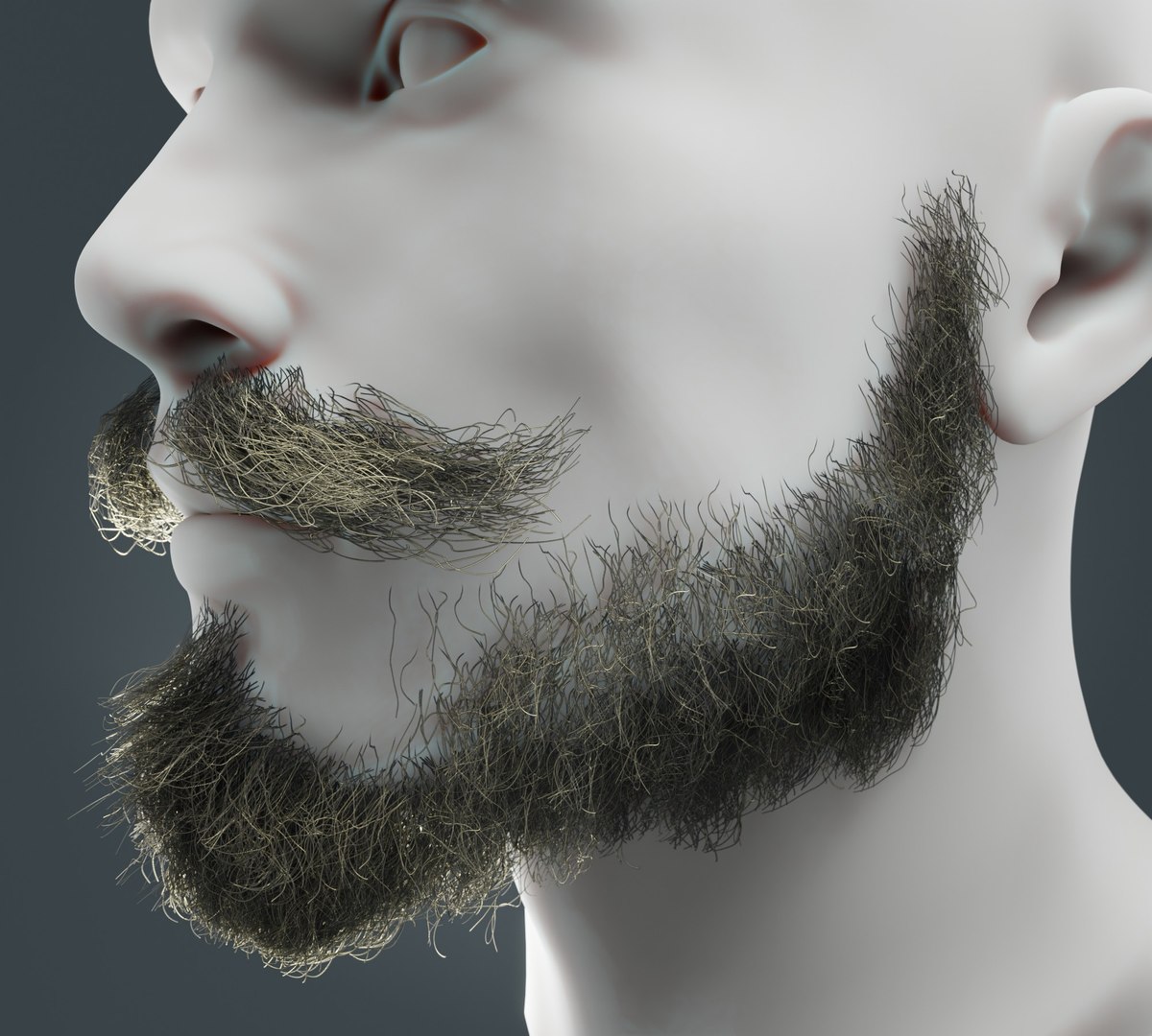 Beard RealTime 7 Version 2 3D Model - TurboSquid 1892346