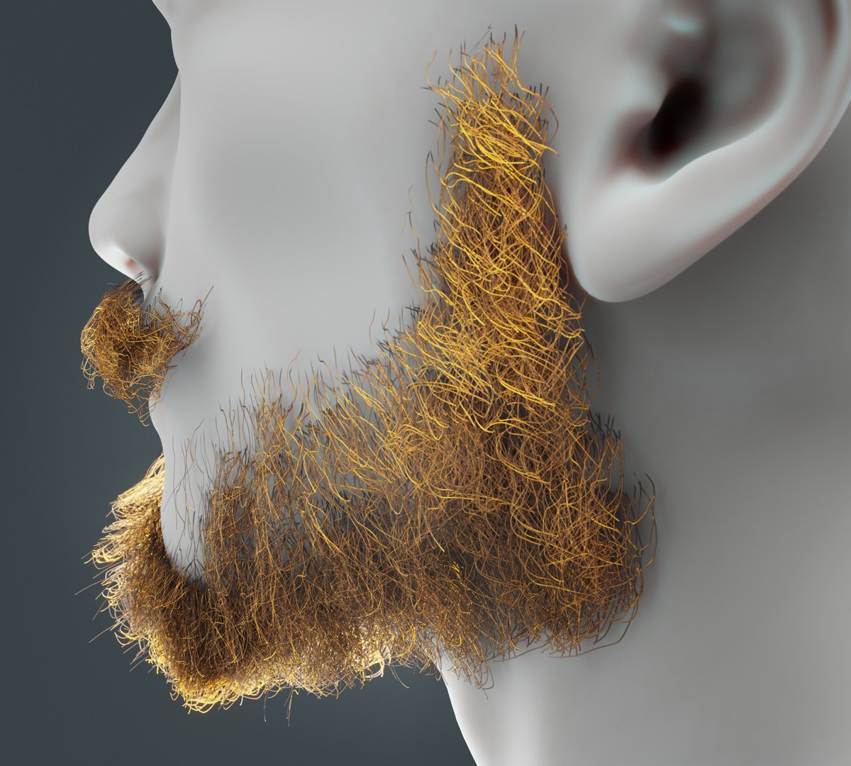 Beard RealTime 7 Version 2 3D Model - TurboSquid 1892346