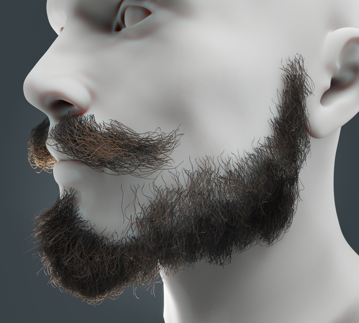 Beard RealTime 7 Version 2 3D Model - TurboSquid 1892346