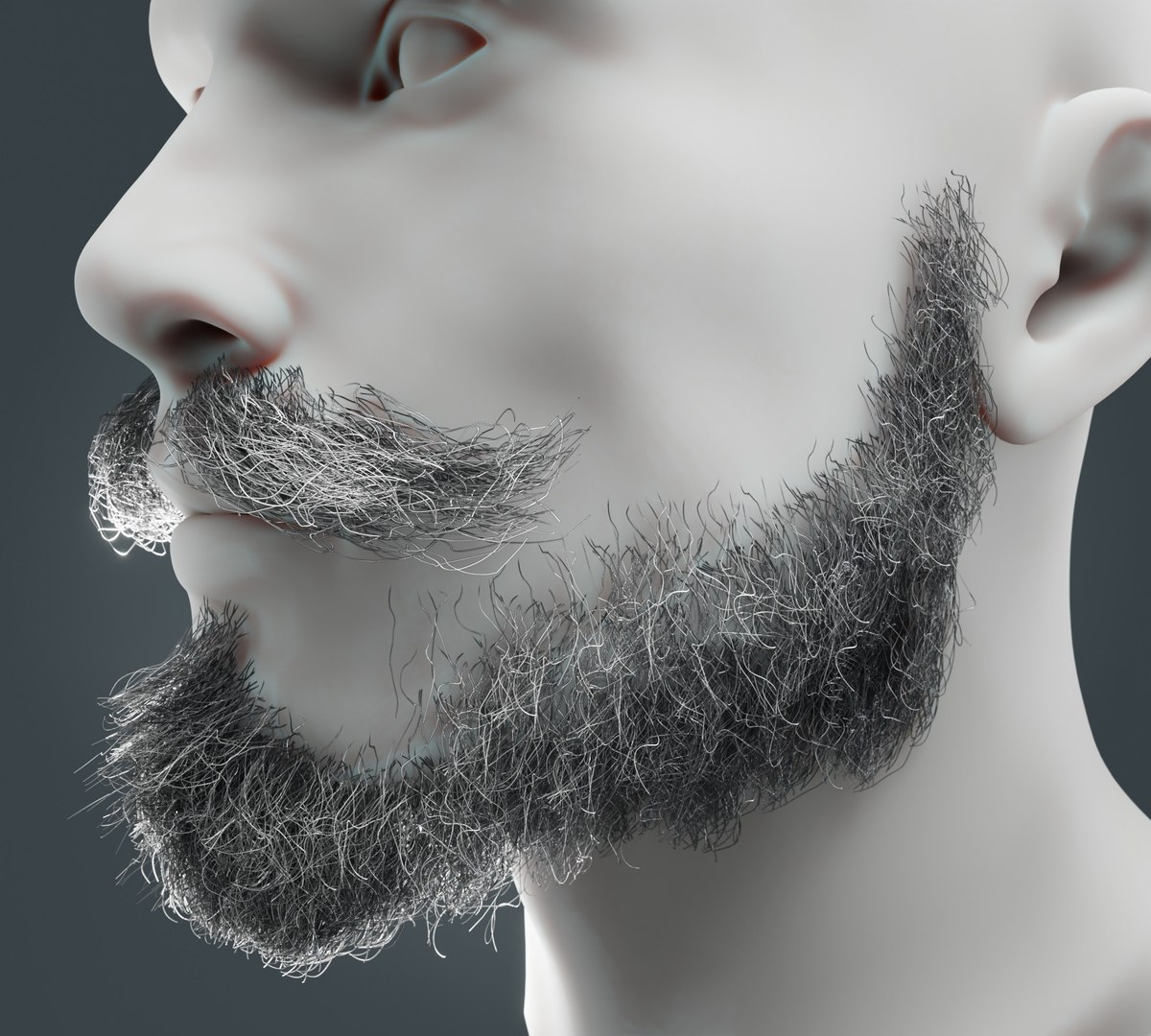 Beard RealTime 7 Version 2 3D Model - TurboSquid 1892346