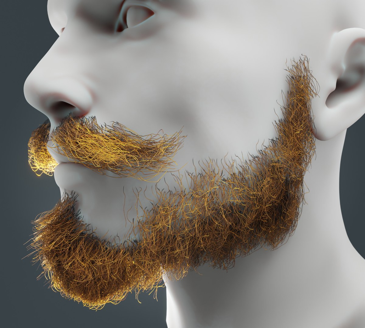 Beard RealTime 7 Version 2 3D Model - TurboSquid 1892346