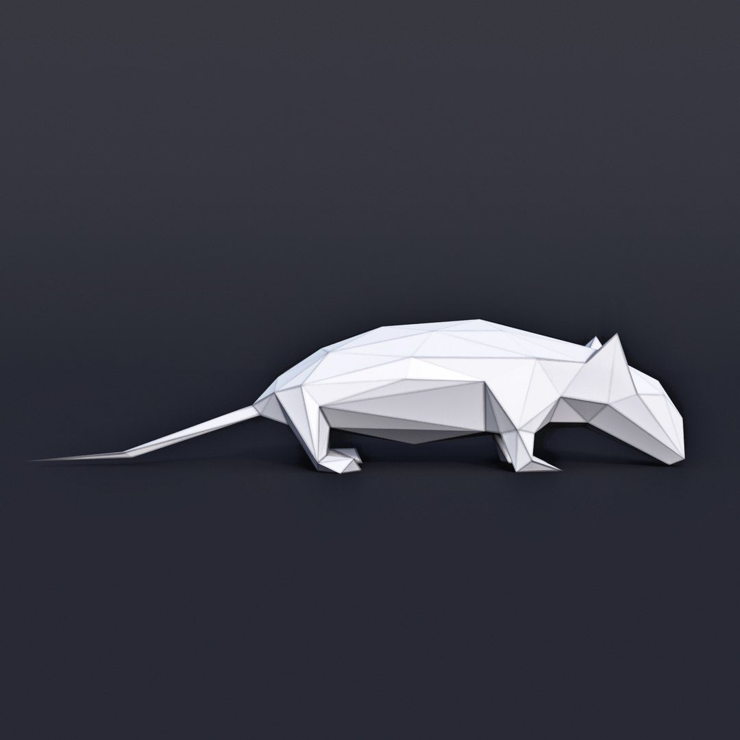 Animal mammal mouse 3D model - TurboSquid 1284572