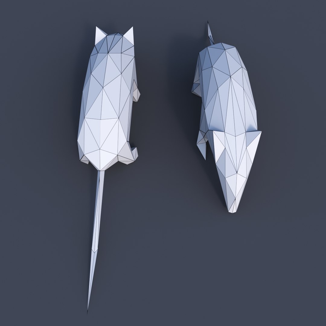 Animal mammal mouse 3D model - TurboSquid 1284572