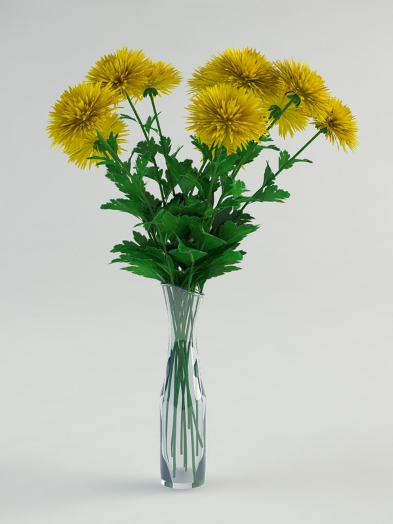 3d Mums Chrysanthemums Model