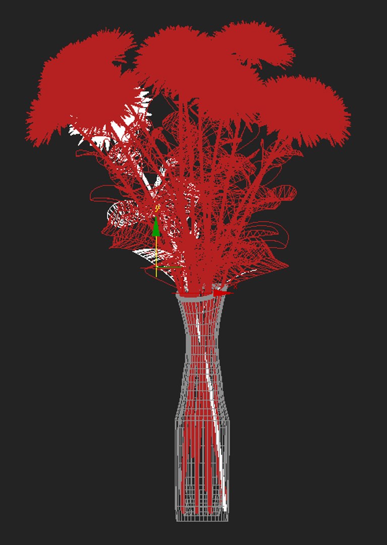 3d Mums Chrysanthemums Model