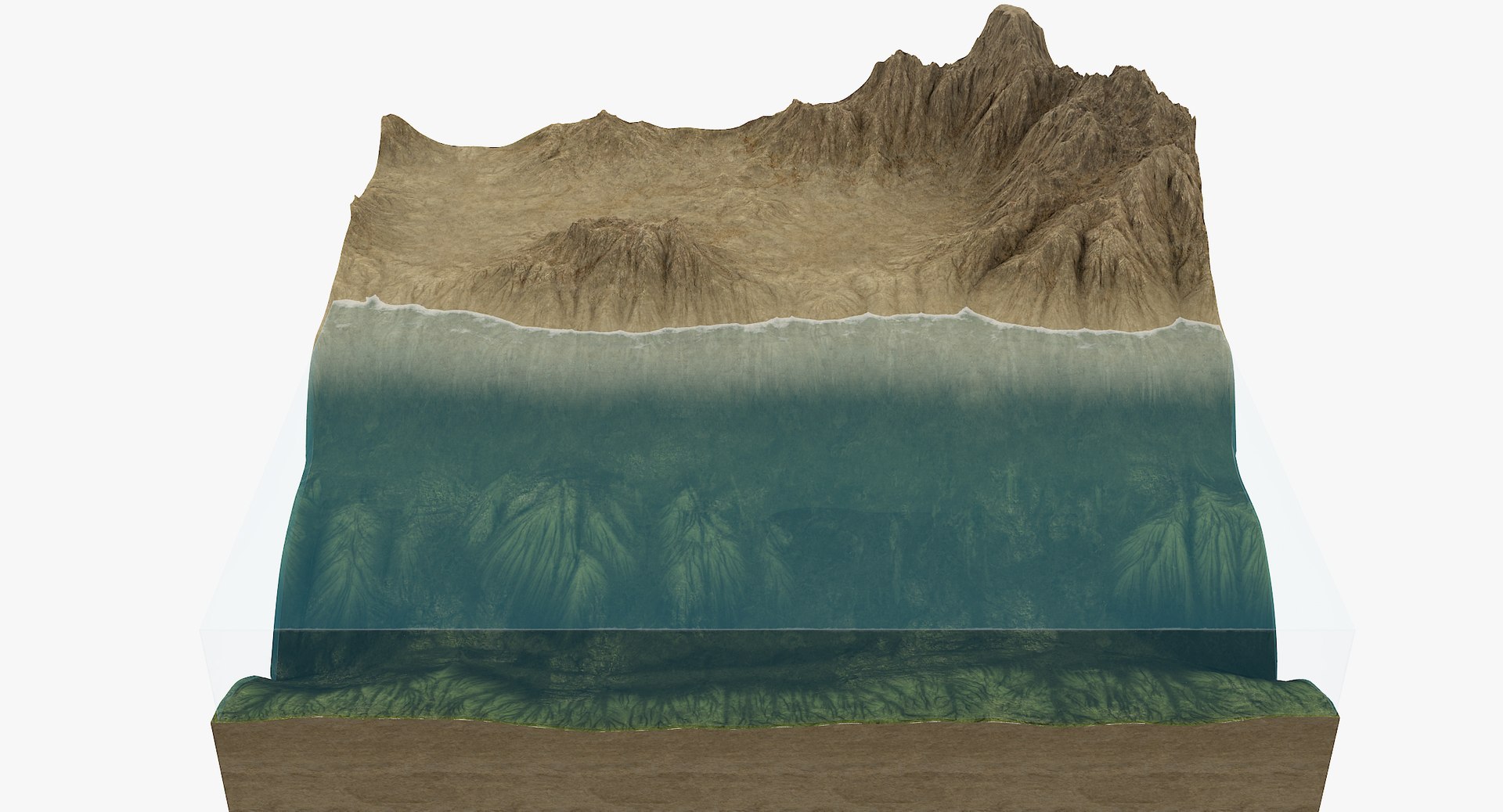 3D Sea Floor - TurboSquid 1269963