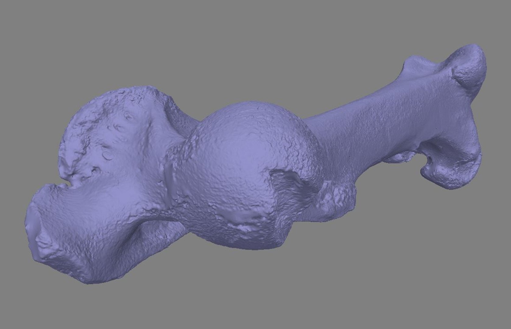 3D Cow Bone Scan Raw - TurboSquid 1214780
