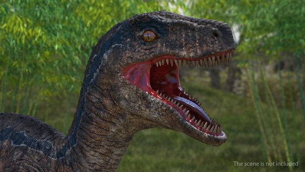 Velociraptor attacking pose 3D model - TurboSquid 1395367