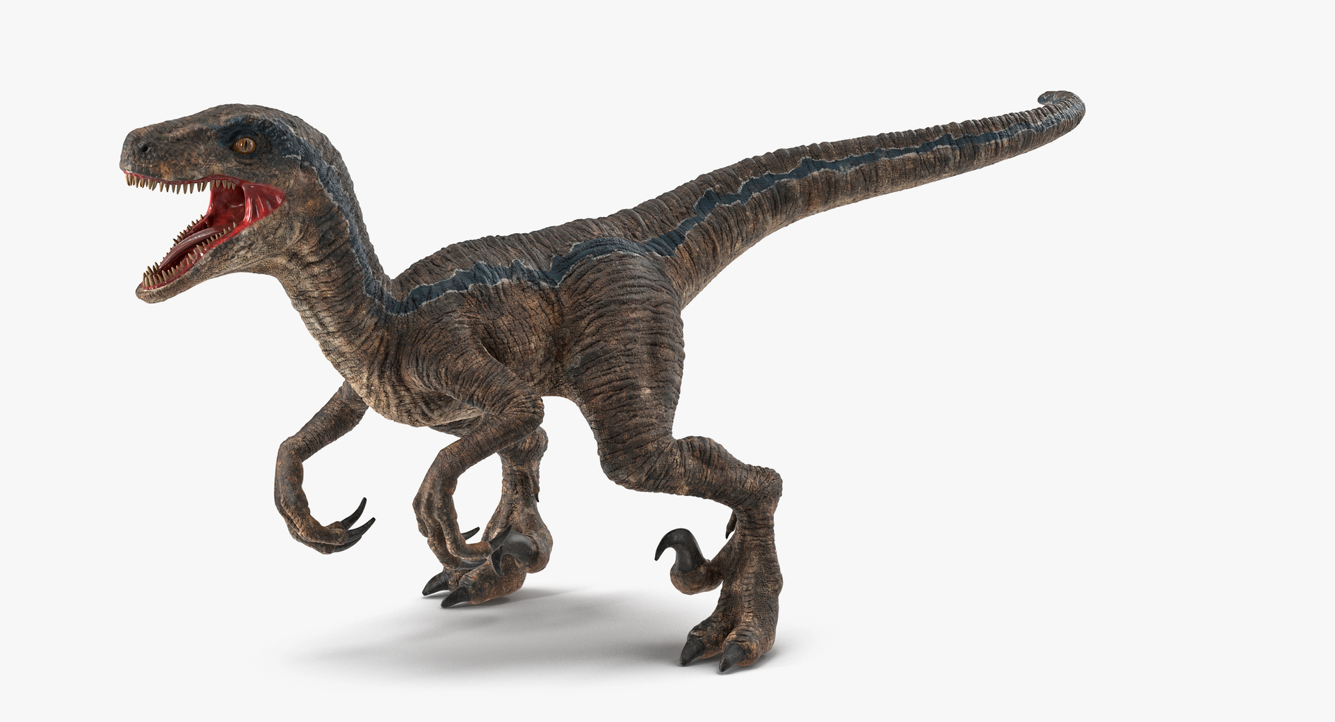 Velociraptor Attacking Pose 3D Model - TurboSquid 1395367