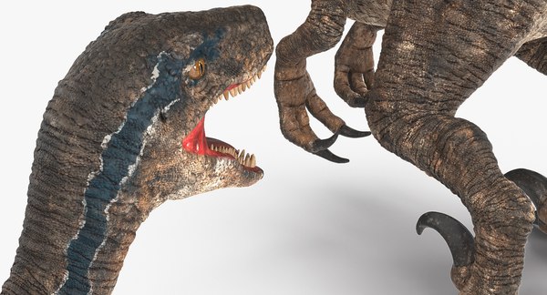 Velociraptor attacking pose 3D model - TurboSquid 1395367