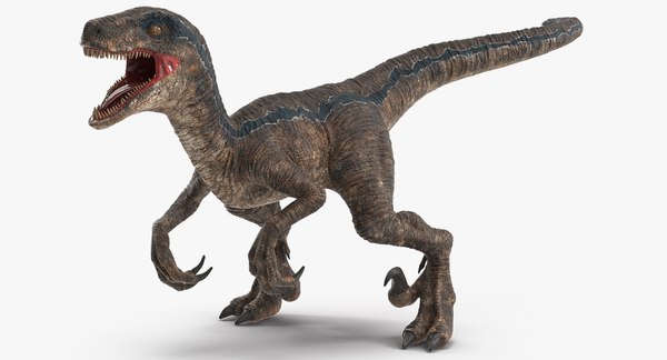 Velociraptor attacking pose 3D model - TurboSquid 1395367