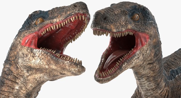 Velociraptor attacking pose 3D model - TurboSquid 1395367