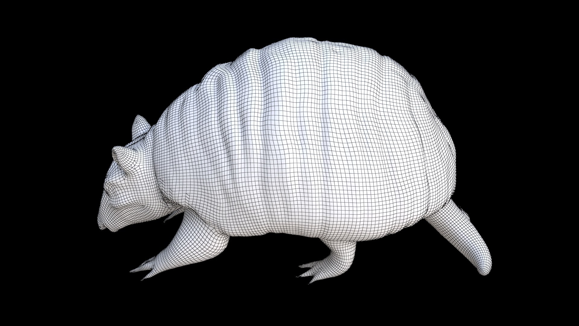 Armadillo 3D Model - TurboSquid 2334969