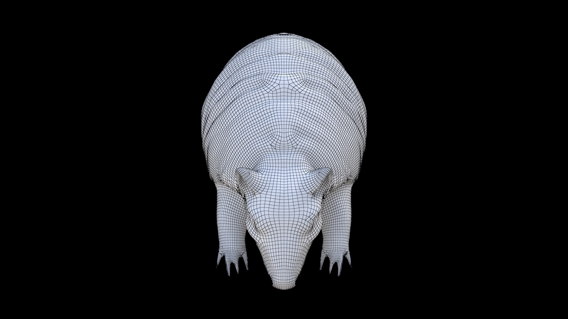 Armadillo 3D Model - TurboSquid 2334969