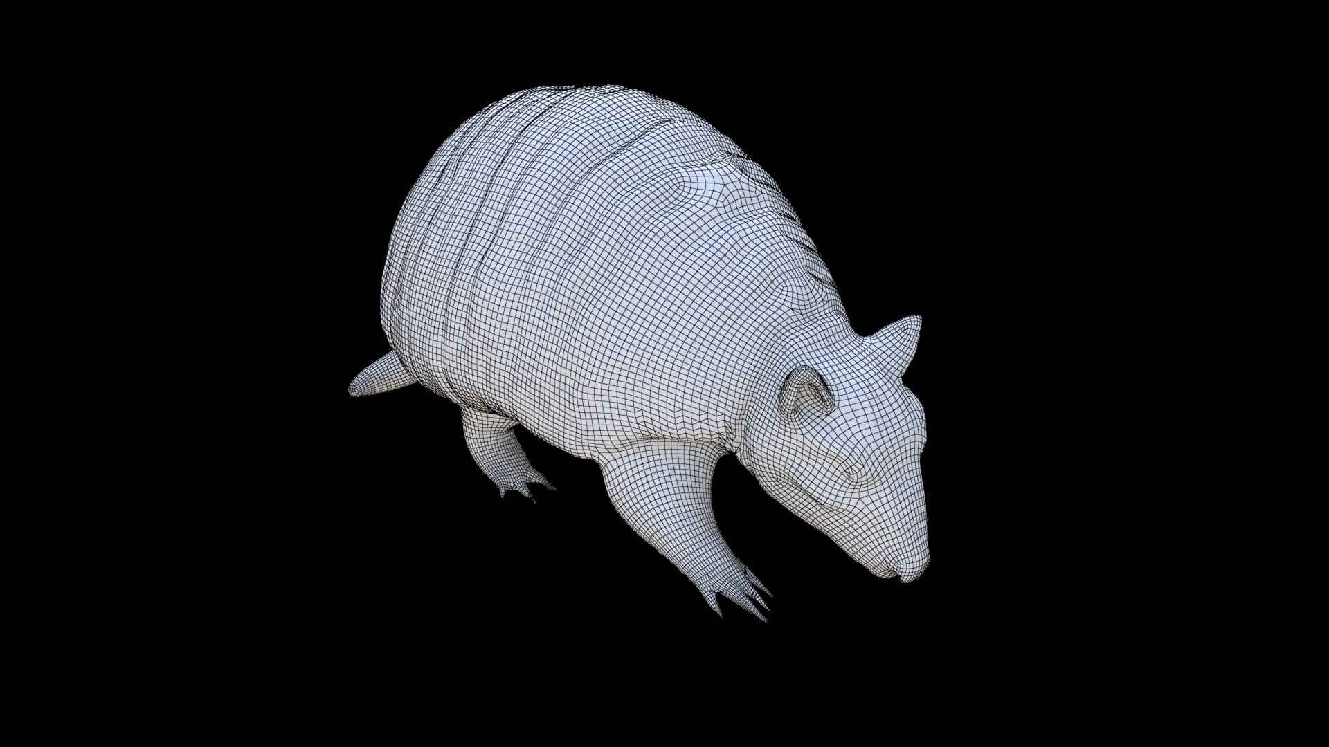 Armadillo 3D Model - TurboSquid 2334969