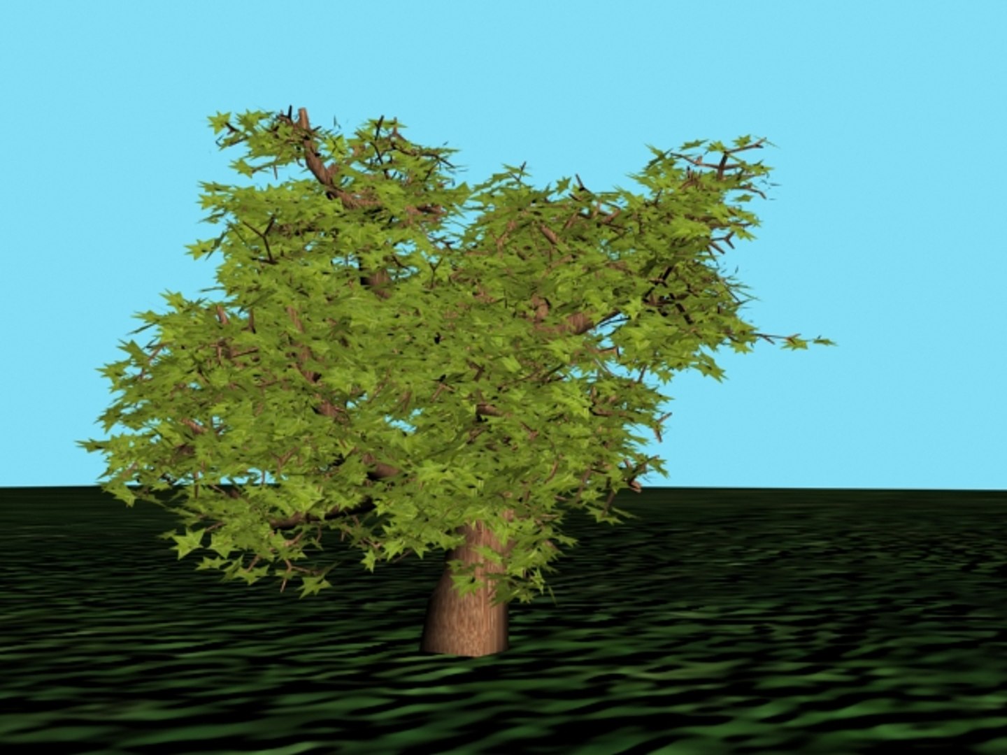 3d Tree Seeds