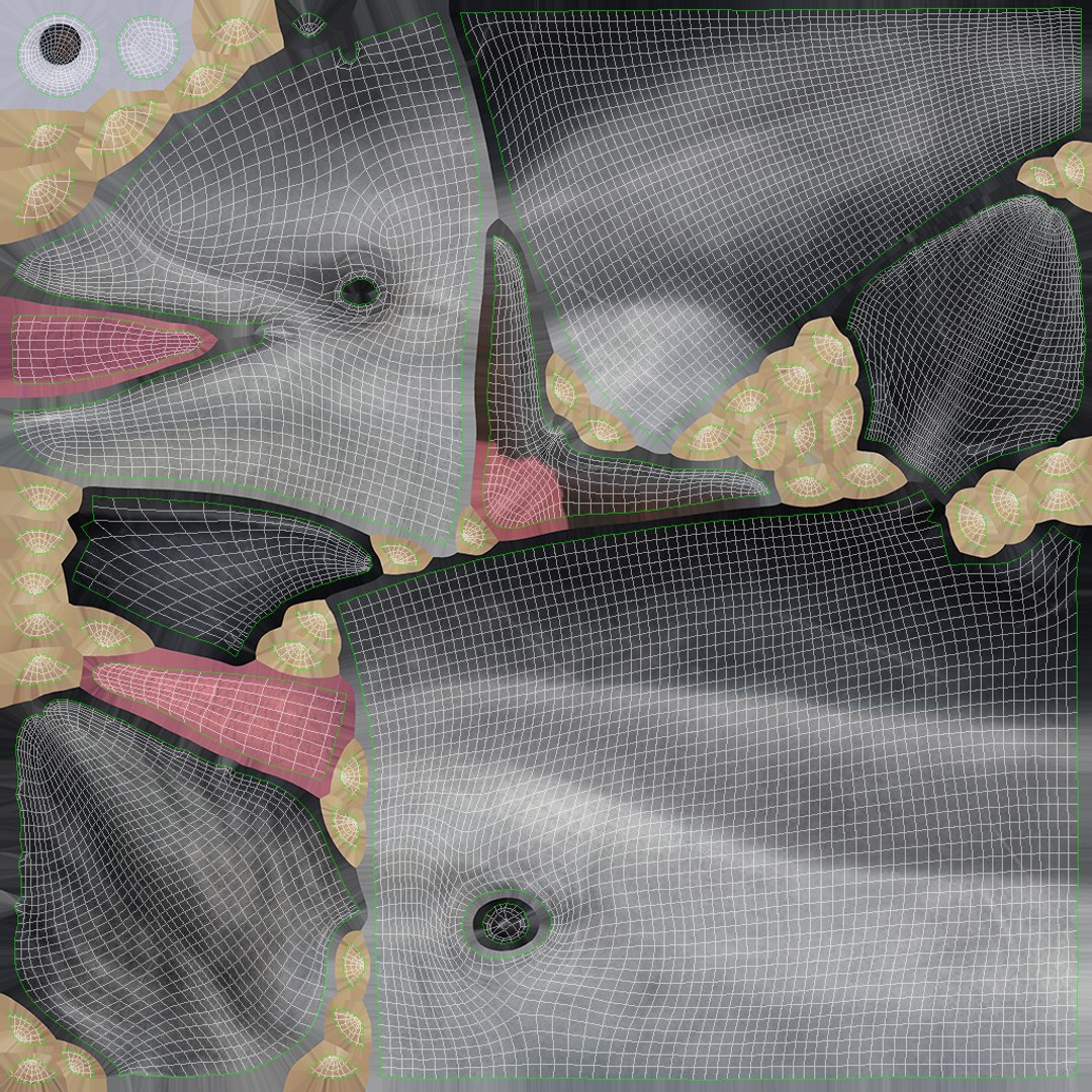 3D model Bottlenose Dolphin Anatomy - TurboSquid 2003607