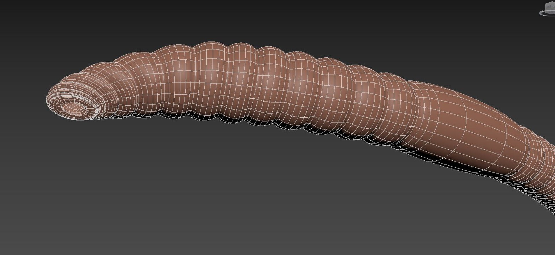 Earth Worm 3D - TurboSquid 1391488