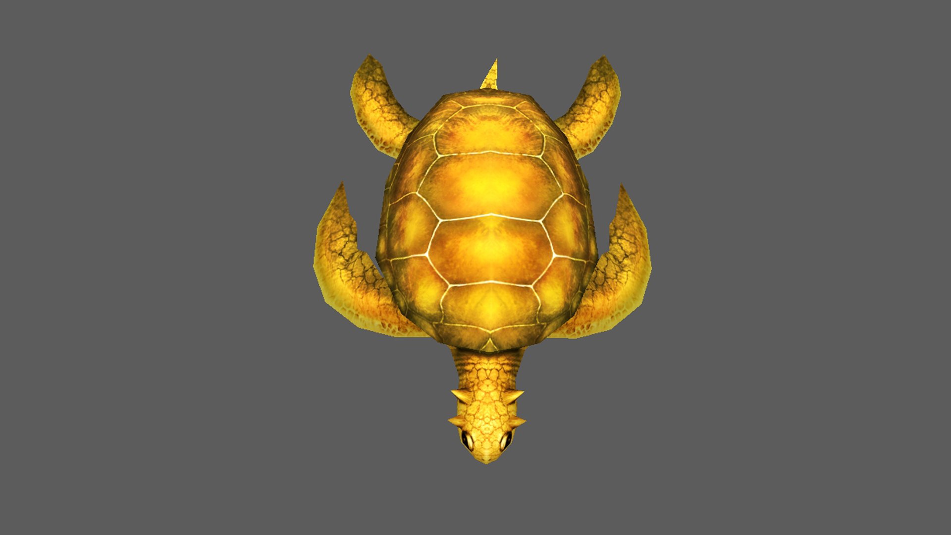 3D Turtle - TurboSquid 1707353