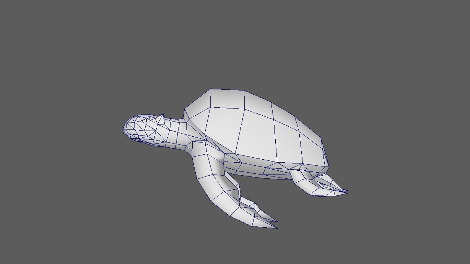 3D Turtle - TurboSquid 1707353
