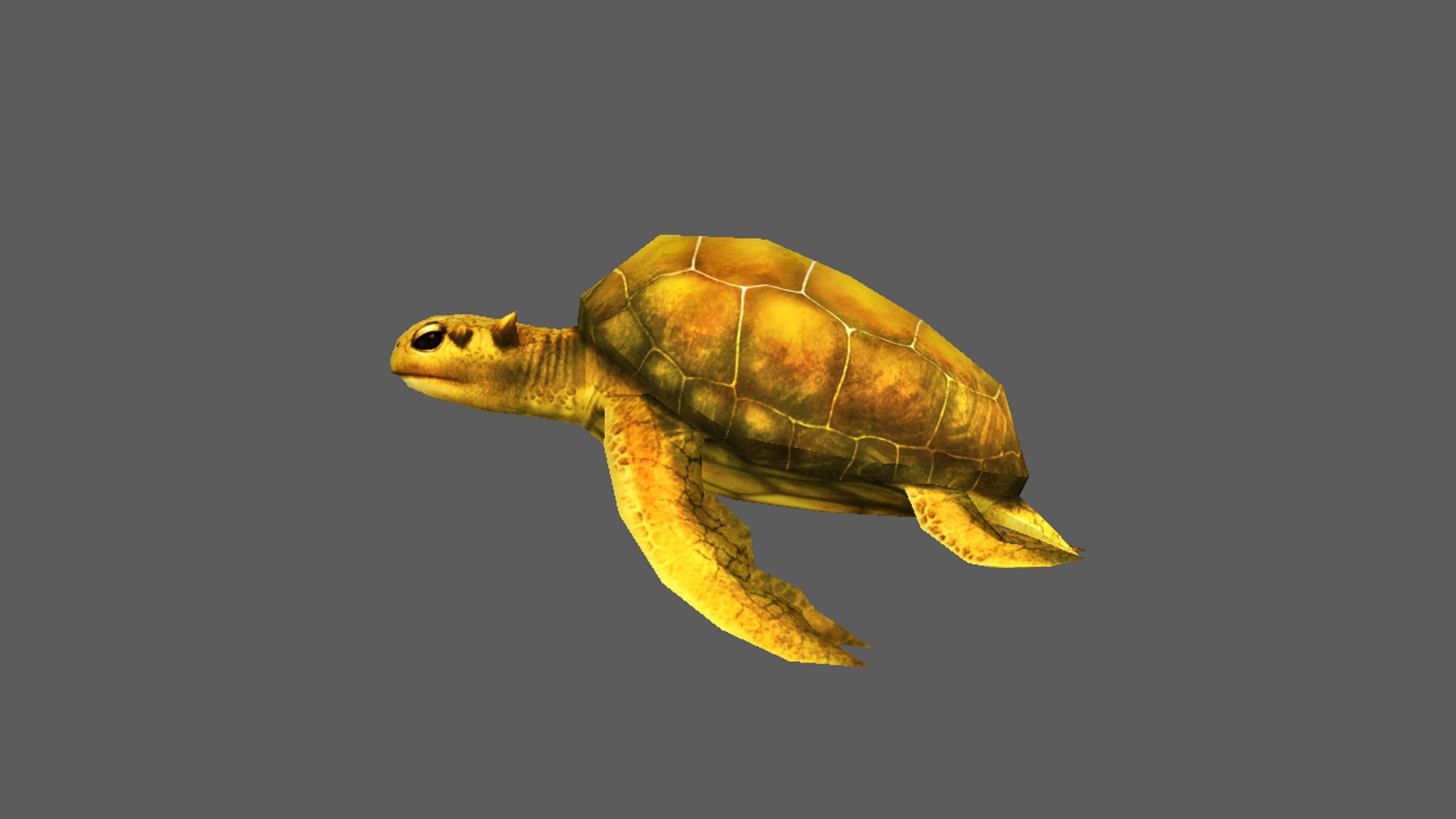 3D Turtle - TurboSquid 1707353