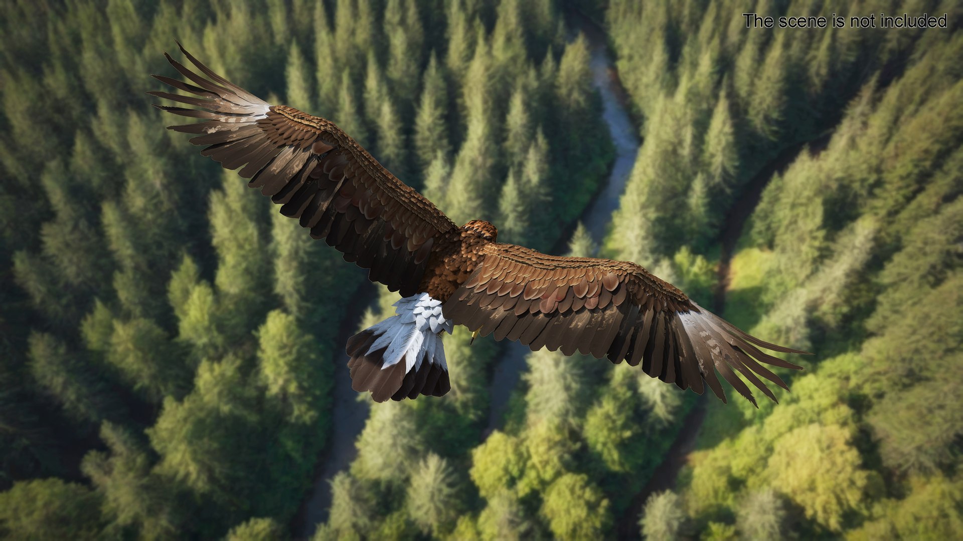 Realistic Golden Eagle Rigged 3D Model - TurboSquid 2264724