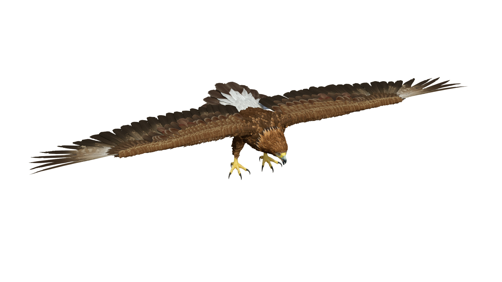 Realistic Golden Eagle Rigged 3D Model - TurboSquid 2264724