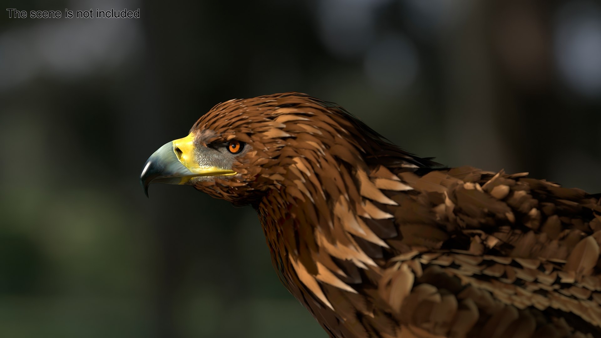 Realistic Golden Eagle Rigged 3D Model - TurboSquid 2264724