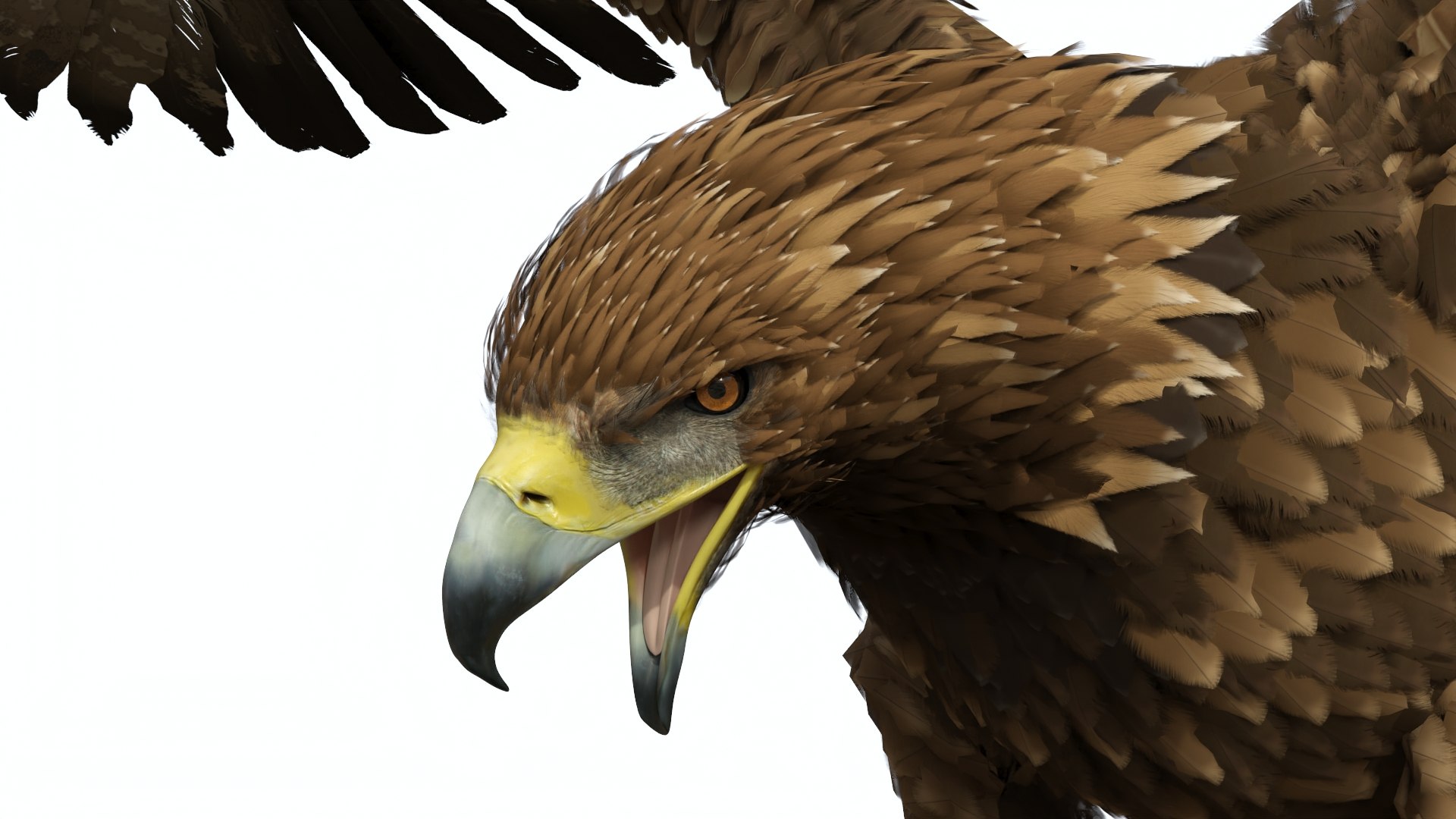 Realistic Golden Eagle Rigged 3D Model - TurboSquid 2264724