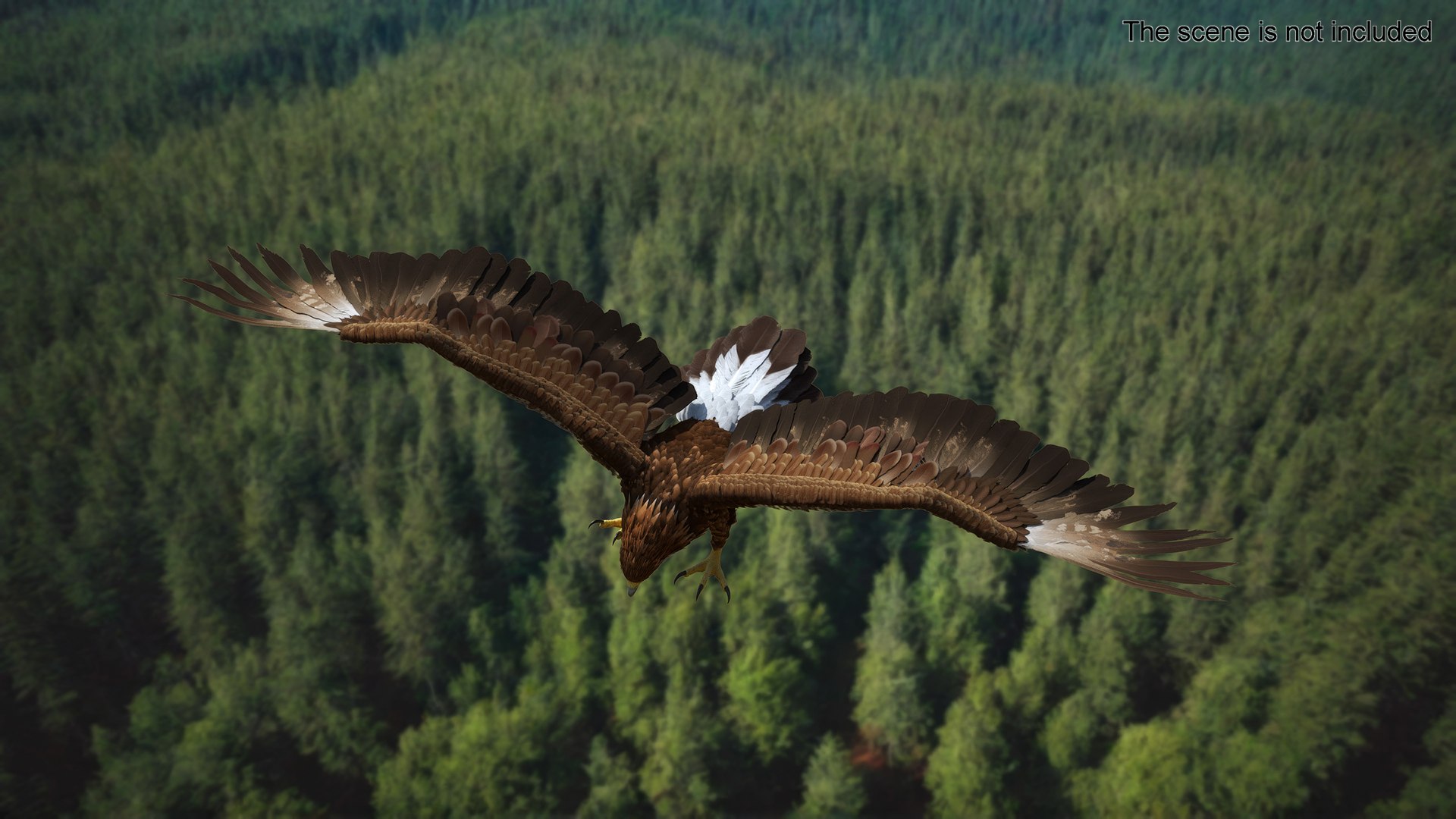 Realistic Golden Eagle Rigged 3D Model - TurboSquid 2264724