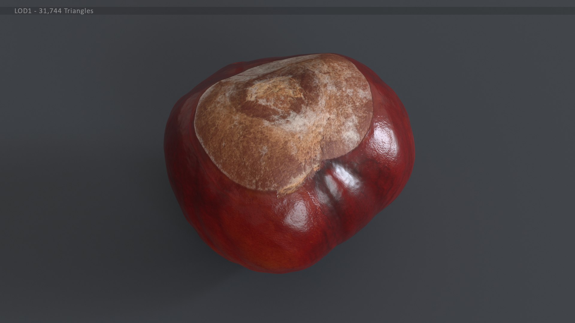 3D Model Chestnut Kernel - TurboSquid 1703570