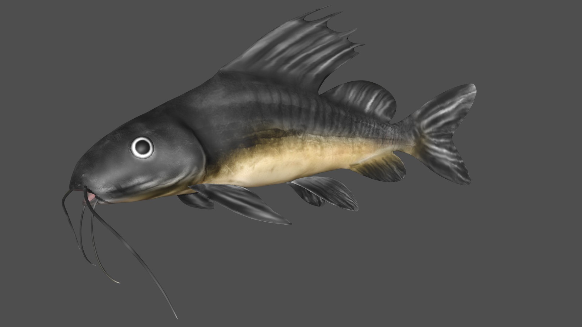 3D catfish - TurboSquid 1758915