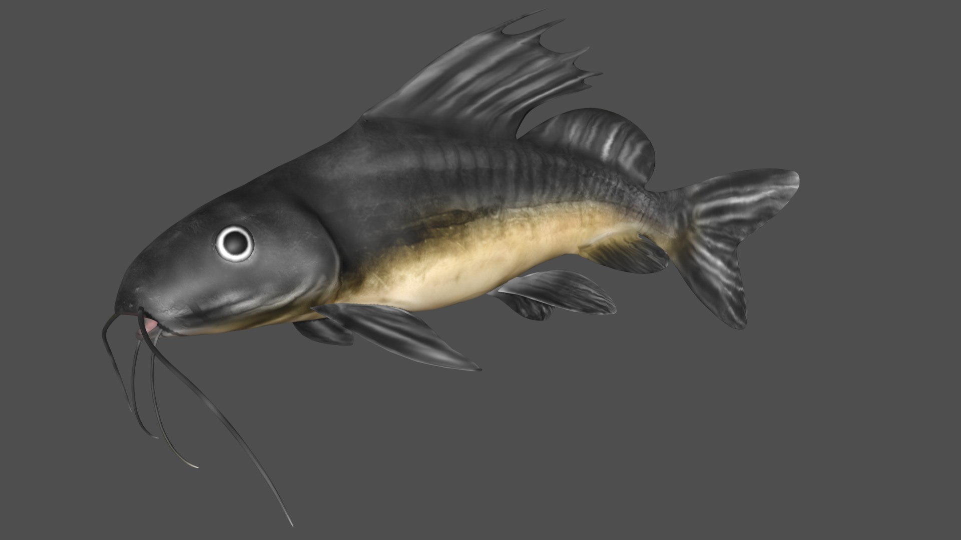 3D catfish - TurboSquid 1758915