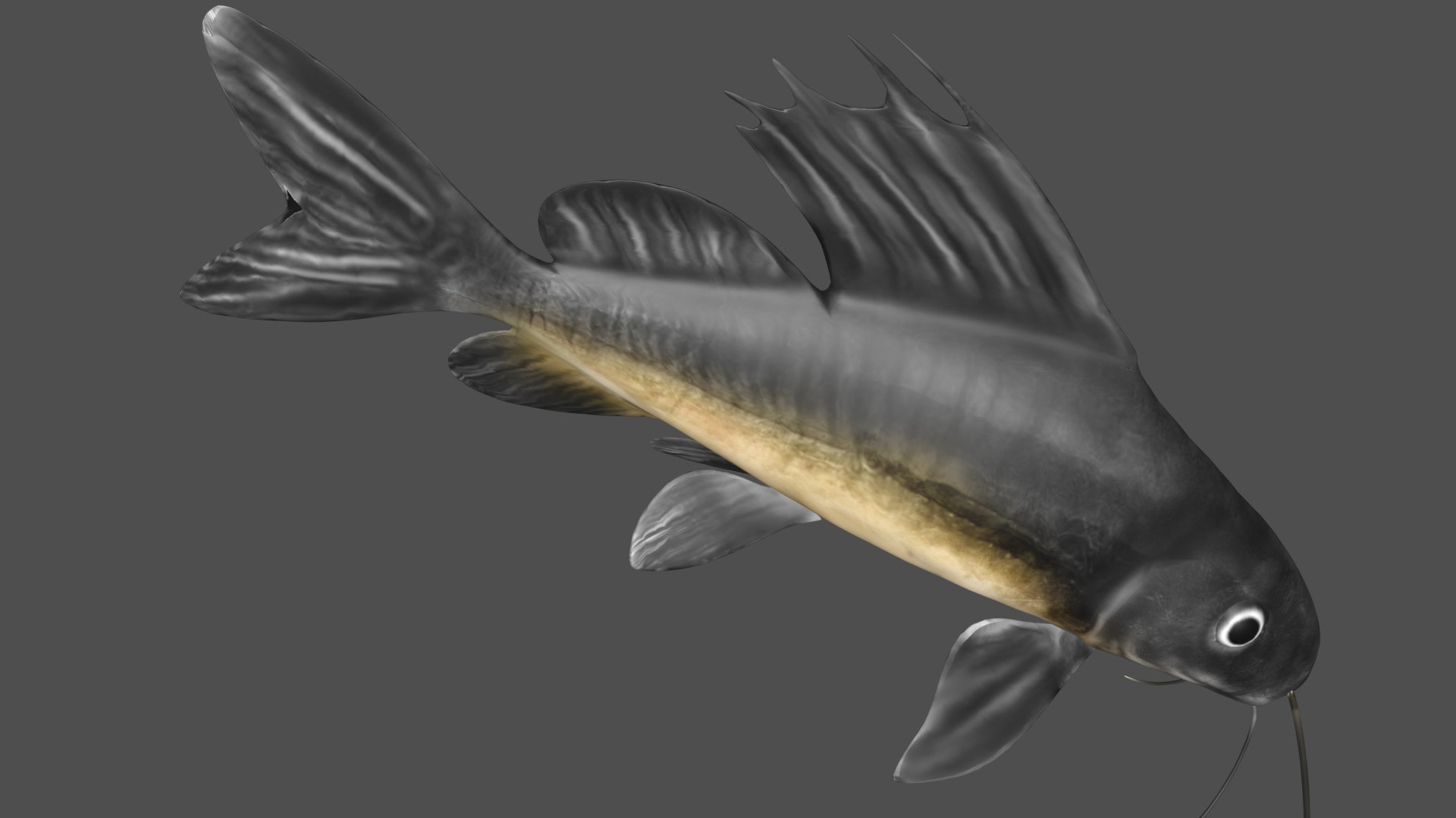 3D catfish - TurboSquid 1758915