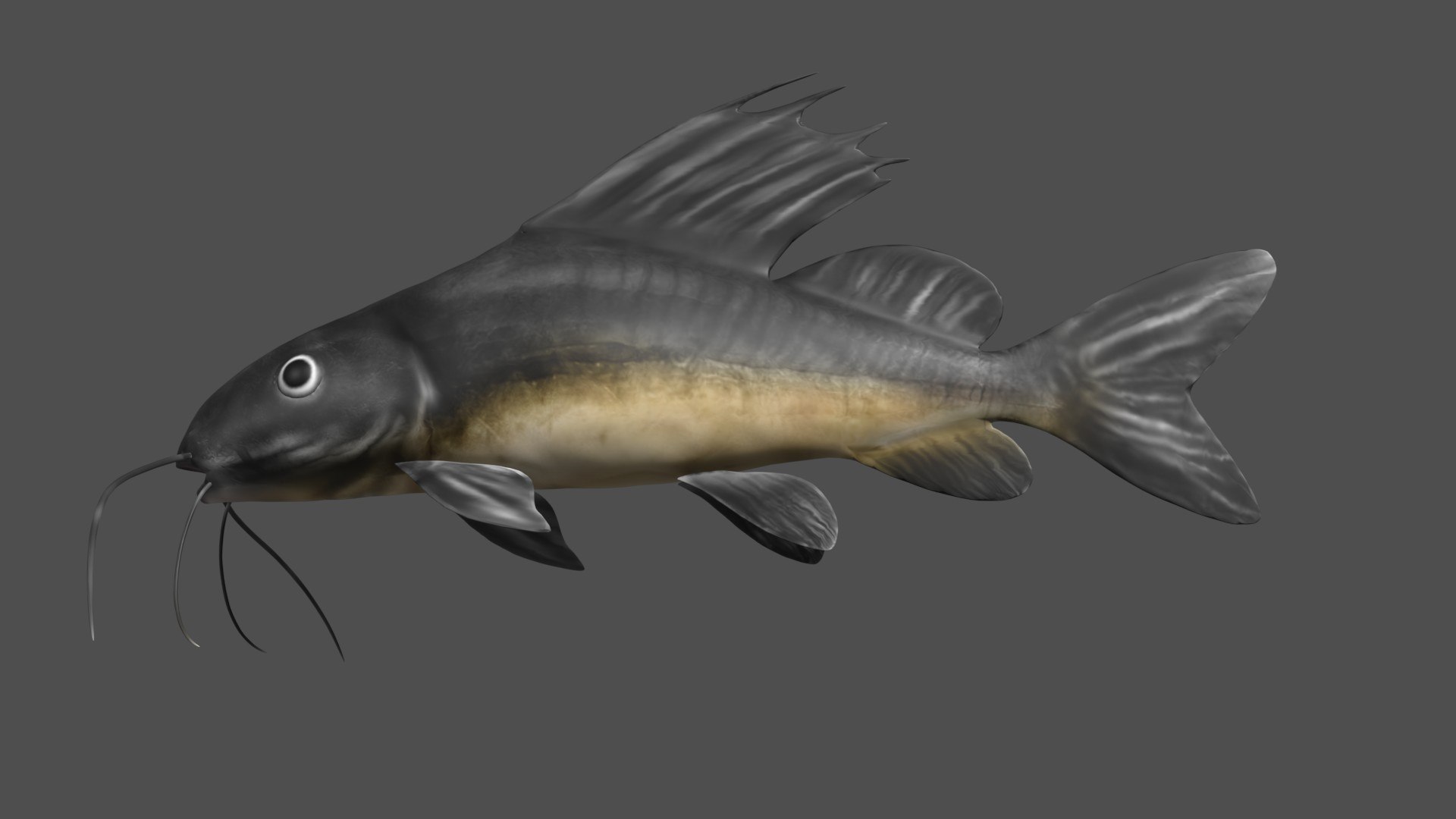 3D catfish - TurboSquid 1758915