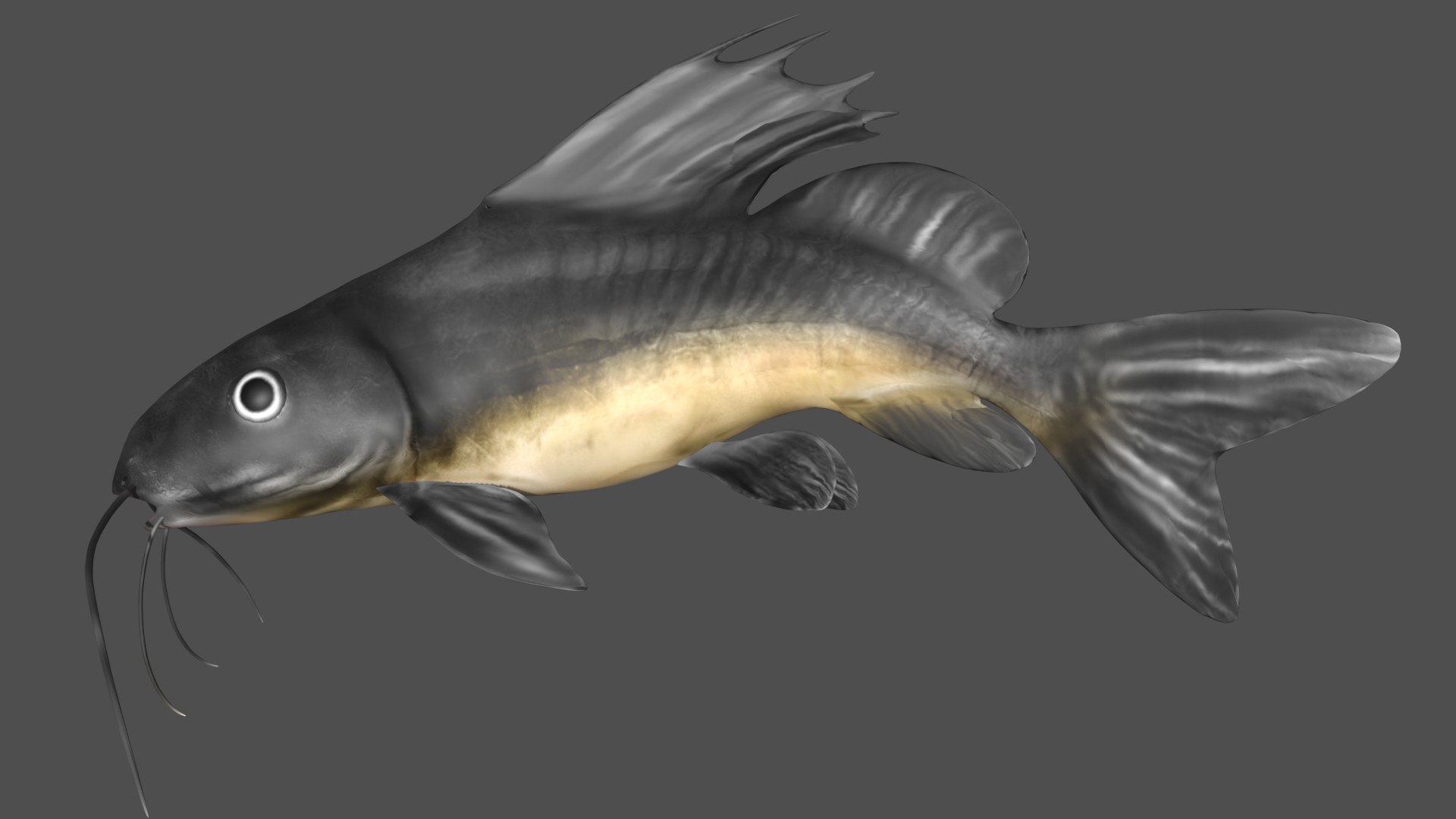 3D catfish - TurboSquid 1758915