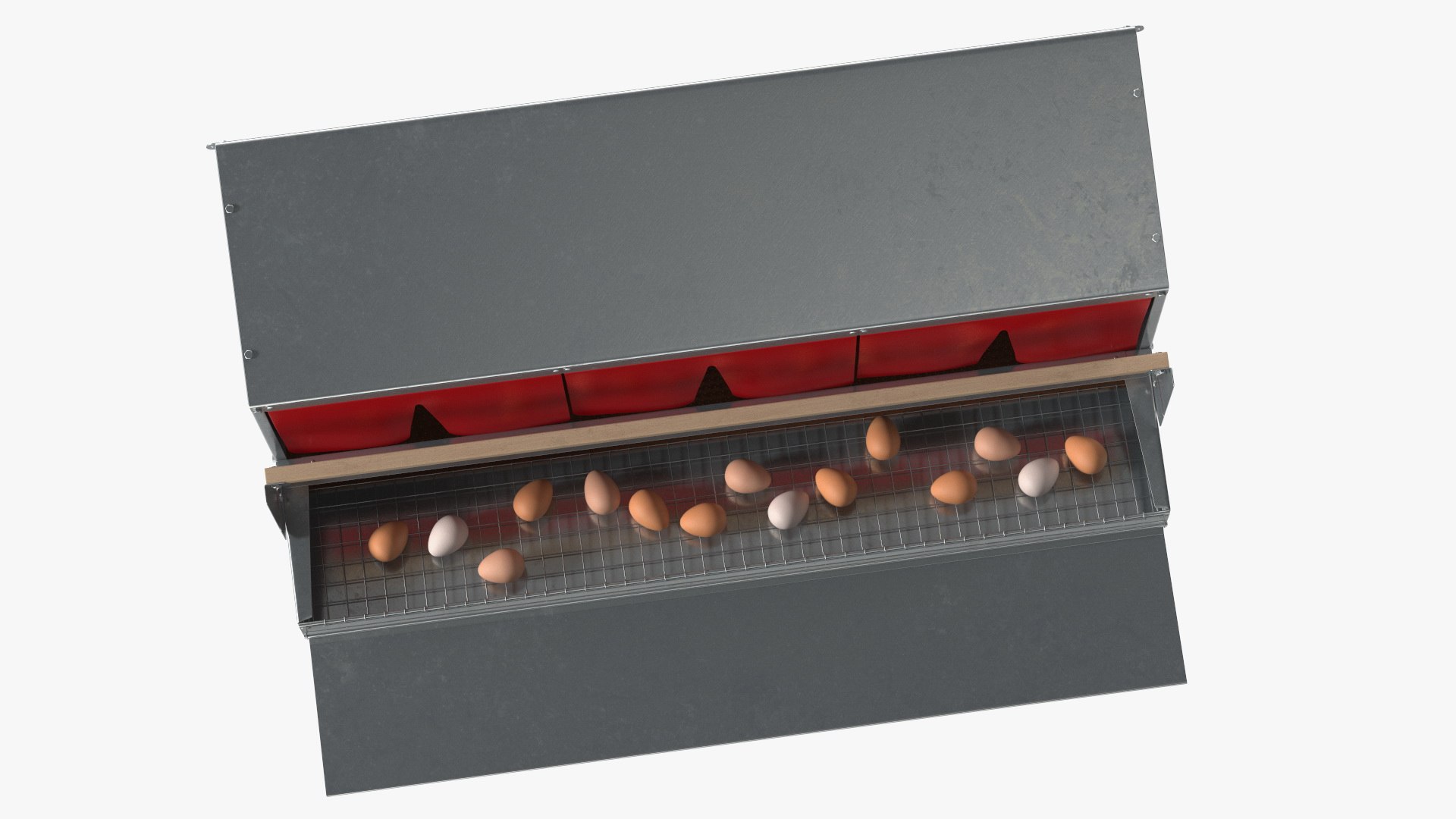 Large Reversible Rollaway Nest Box With Eggs 3D Model - TurboSquid 1808376