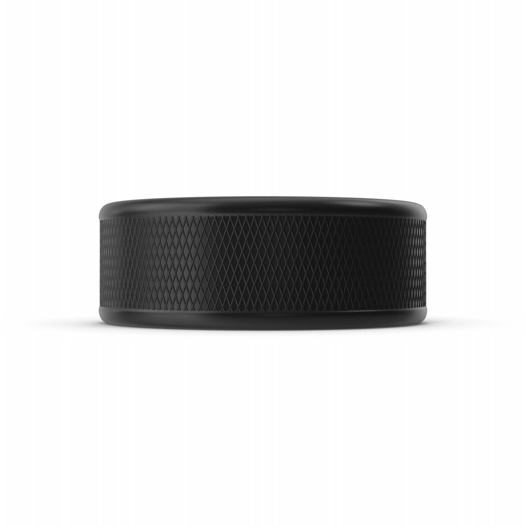 3D Ice Hockey Puck - TurboSquid 1960473