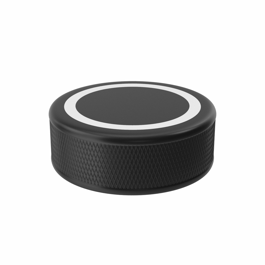 3D Ice Hockey Puck - TurboSquid 1960473