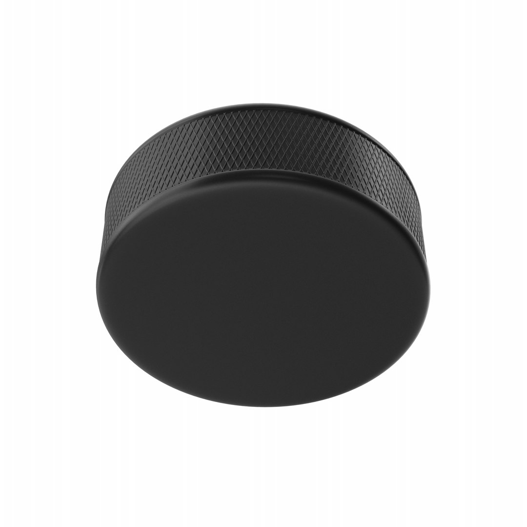 3D Ice Hockey Puck - TurboSquid 1960473