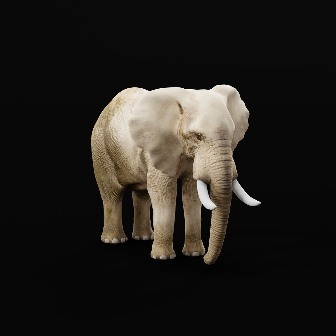 3D Model African Elephant - TurboSquid 2300537