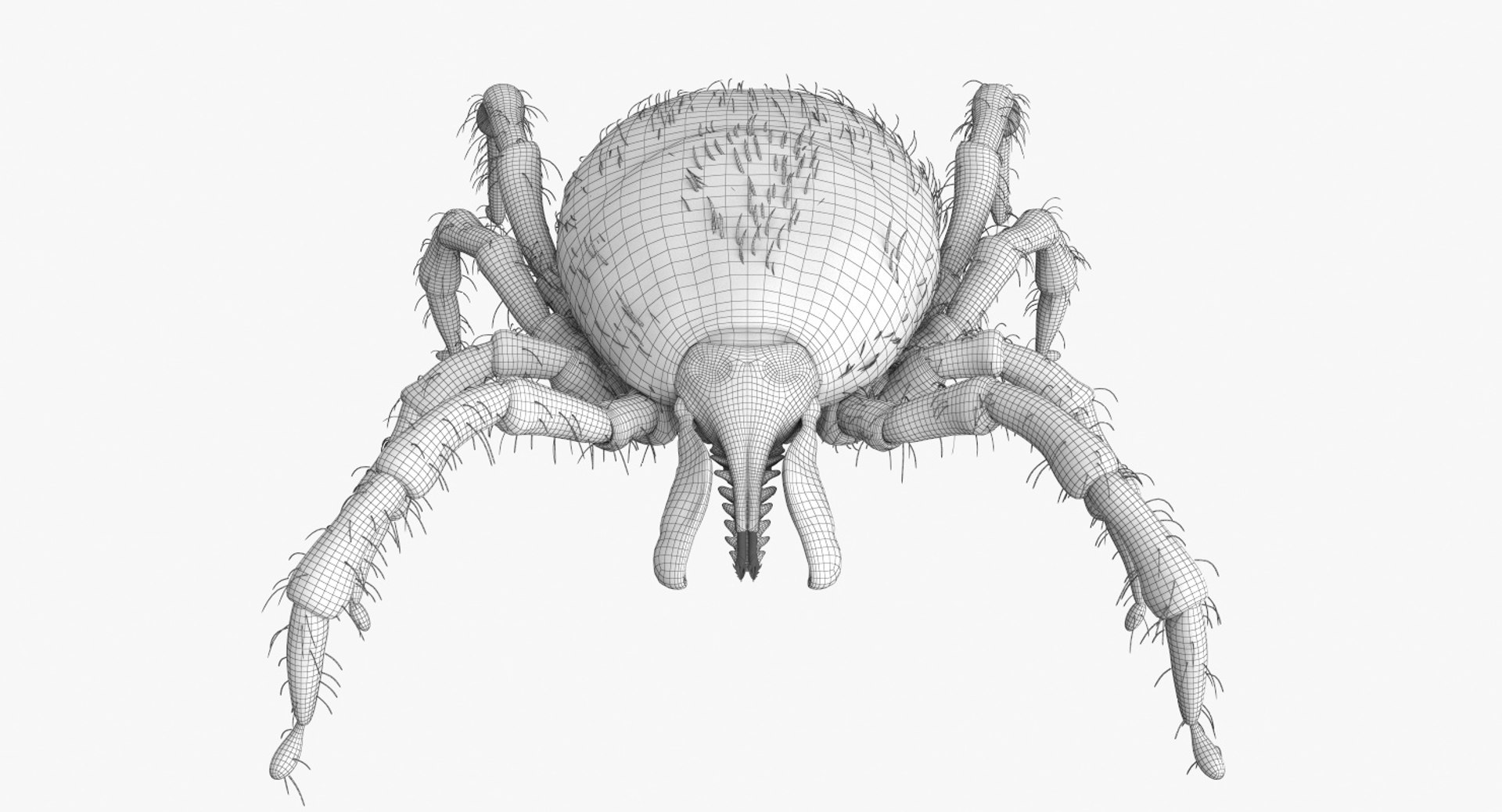 Tick Model - TurboSquid 1335738