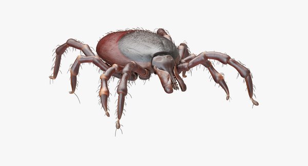 Tick model - TurboSquid 1335738
