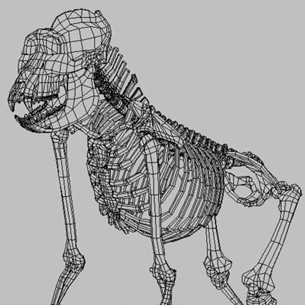 gorilla skeleton obj