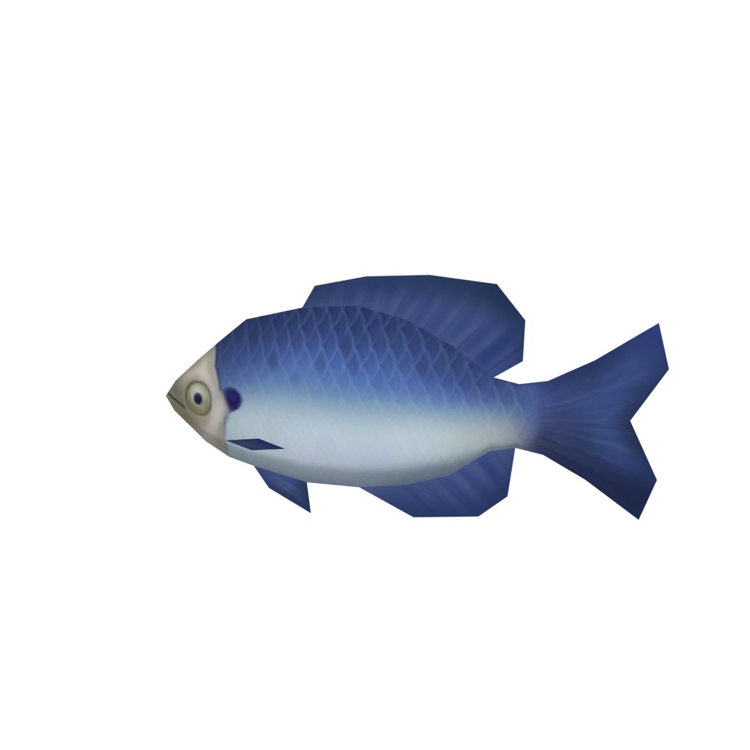 3D Bluegill Model - TurboSquid 1152645