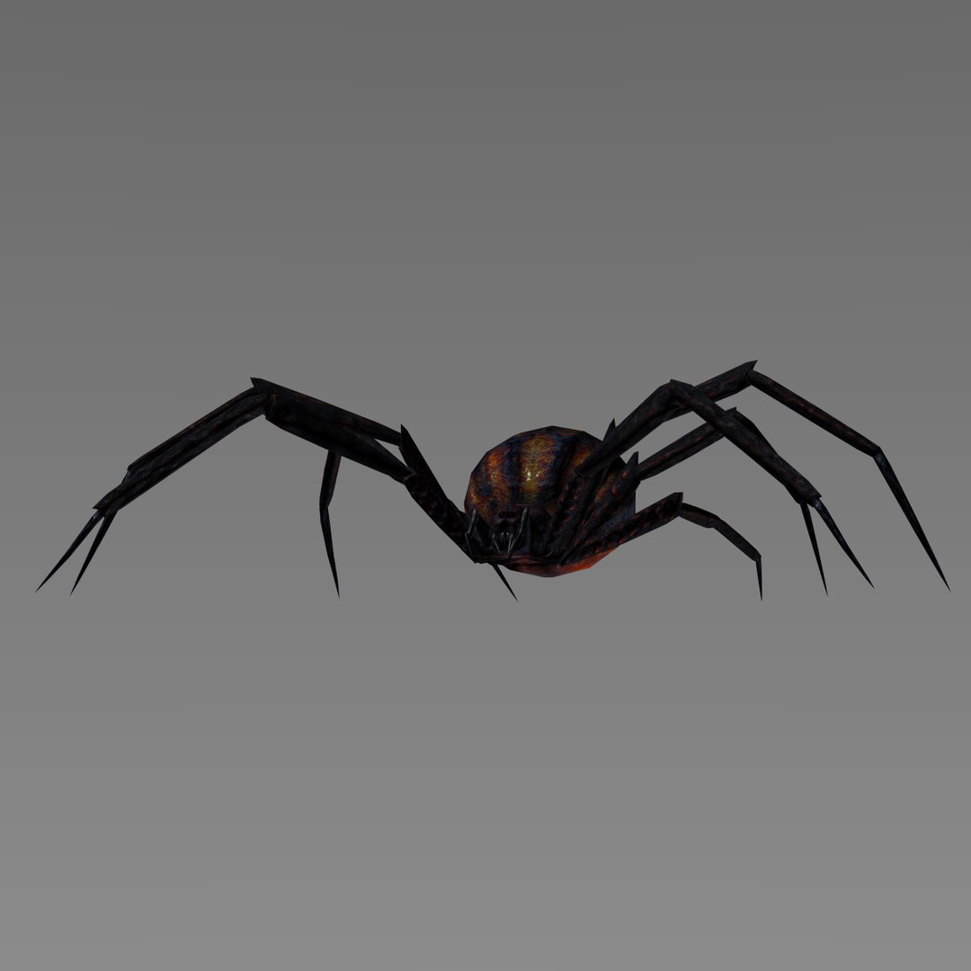 3d Spider Animation Model