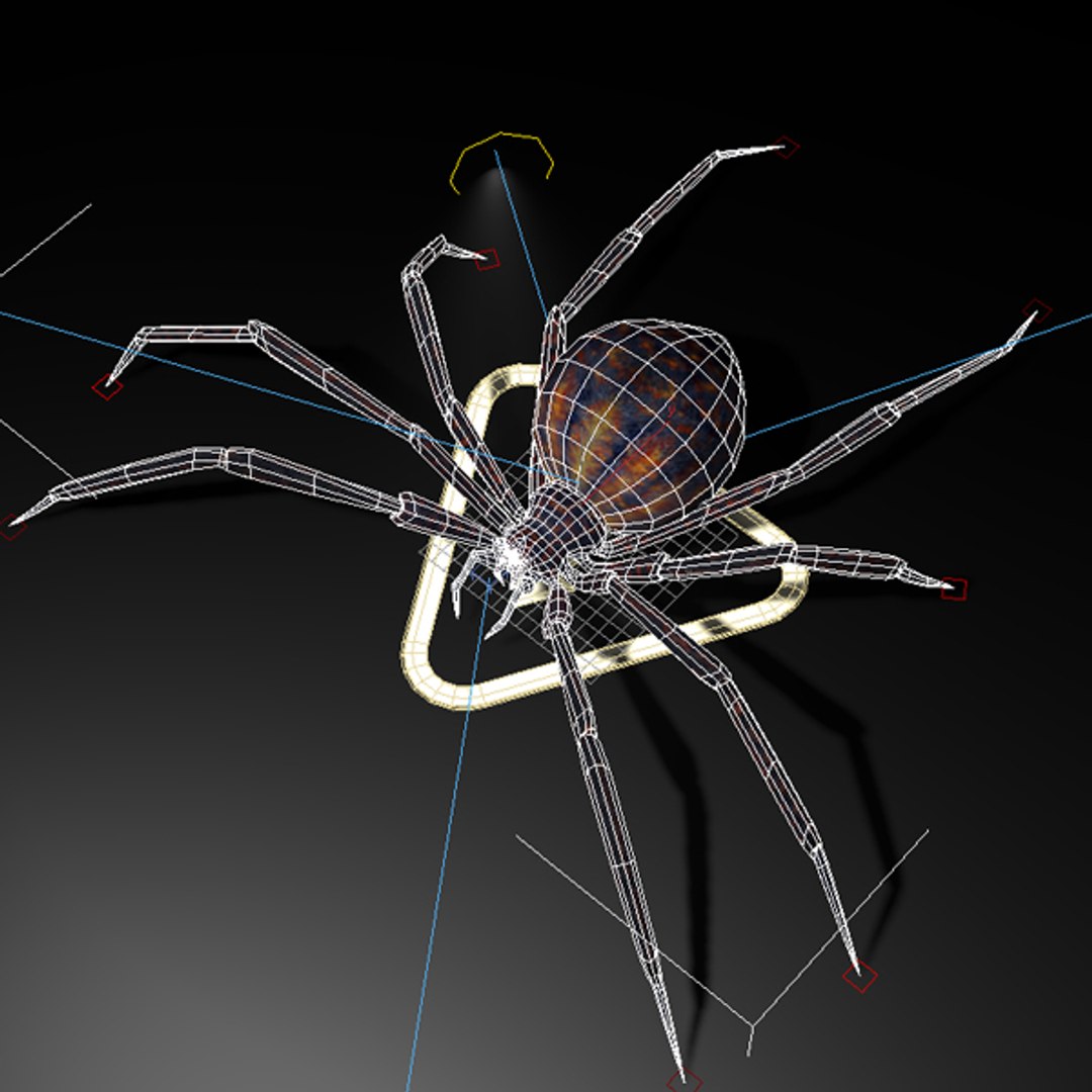 3d Spider Animation Model