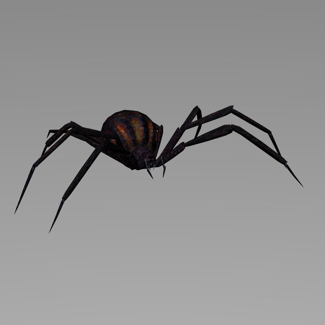 3d Spider Animation Model